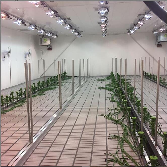 Movable propagation flood and drain table ebb and flow trays - Buy ...