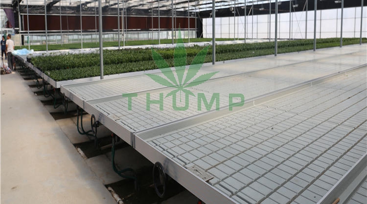 Agriculture Greenhouse Movable Rolling Bench Ebb And Flow Grow Hydroponic Seedling Table