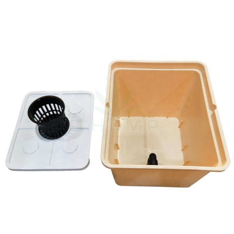 Complete Hydroponic Dutch Bucket System For Growing Vegetable In ...