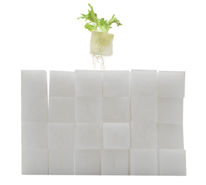 Hydroponic Grow Germination Seeding Sponge Foam - Thump Manufacturer