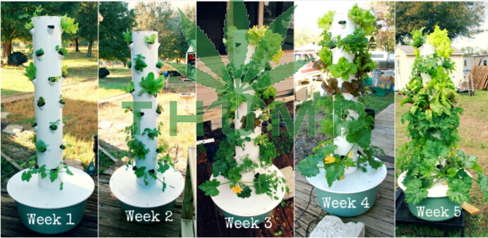 Aeroponic Tower Garden Towers_vertical Aeroponic Tower