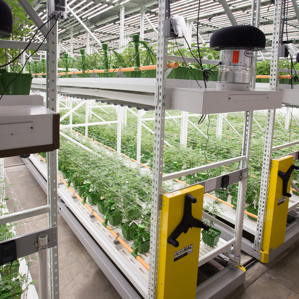 Thump_Cannabis Grow supplier|Cannabis Grow Equipment