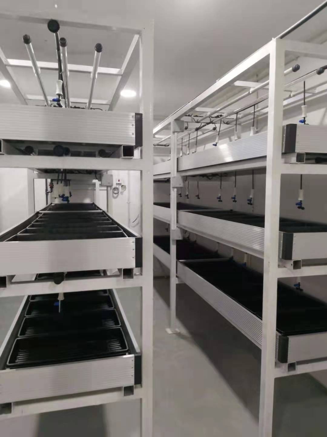 Hydroponic Farming Vertical Grow Rack Indoor Gardeing System - Thump