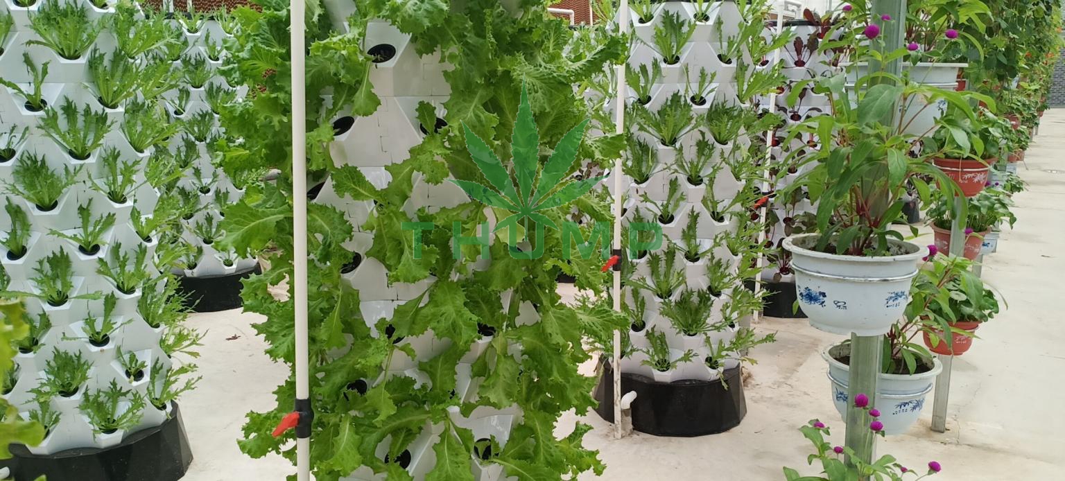 Diy Aeroponic Tower_aeroponic Tower Garden Diy